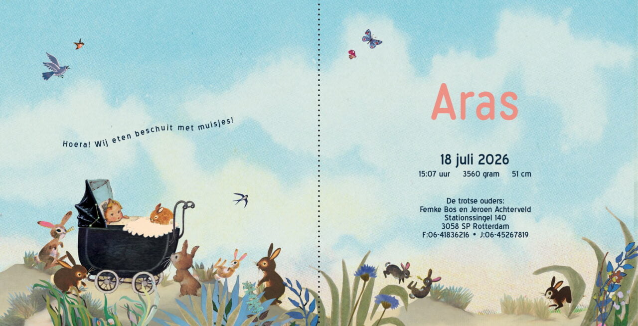 Geboortekaartje met kindje in vintage wagentje aan zee